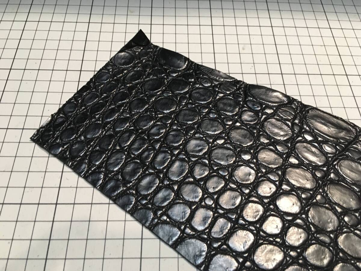 Yahoo!オークション - CR3-654 巨体野生捕獲マットブラック最高級クロ...