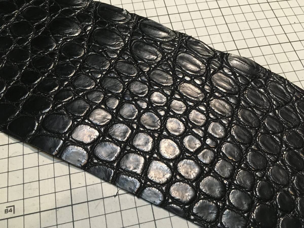 Yahoo!オークション - CR3-654 巨体野生捕獲マットブラック最高級クロ...