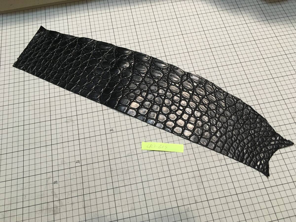 Yahoo!オークション - CR3-654 巨体野生捕獲マットブラック最高級クロ...