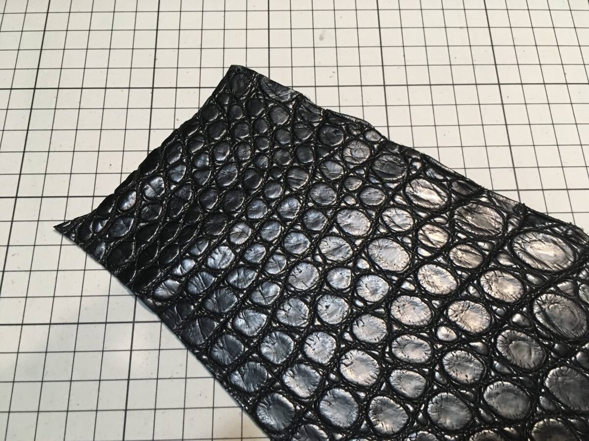 Yahoo!オークション - CR3-655 巨体野生捕獲マットブラック最高級クロ...