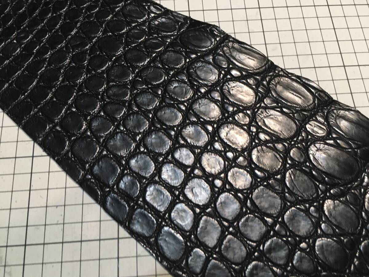 Yahoo!オークション - CR3-655 巨体野生捕獲マットブラック最高級クロ...