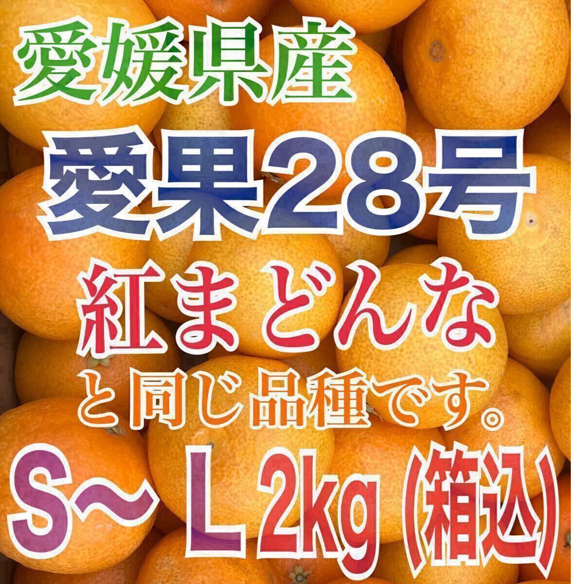 Yahoo!オークション - ⑧『家庭用』愛媛県産 愛果28号【紅まどんな同品...