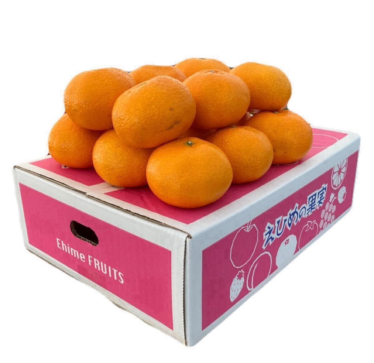 Yahoo!オークション - ②愛媛県産 大玉 興居島みかん 秀品 2L〜3L 約2....