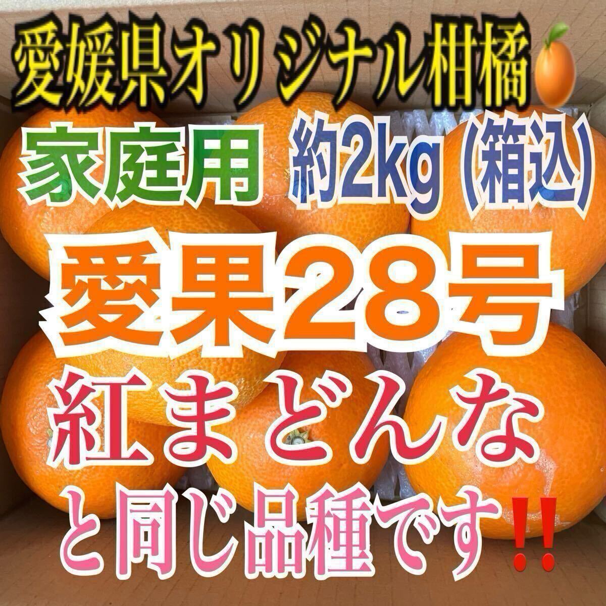 ⑤蔵出し 在庫限り今期 最終家庭用 愛媛県産 愛果28号 紅まどんな同品種 L〜2L 2kg 常温便 ブランド果実(かんきつ類)｜売買されたオークション情報、yahooの商品情報をアーカイブ ...