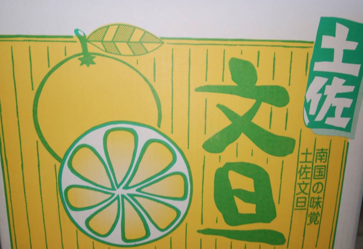 Yahoo!オークション - 1円～スタート【高知県産】 土佐文旦 A4Lサイズ...