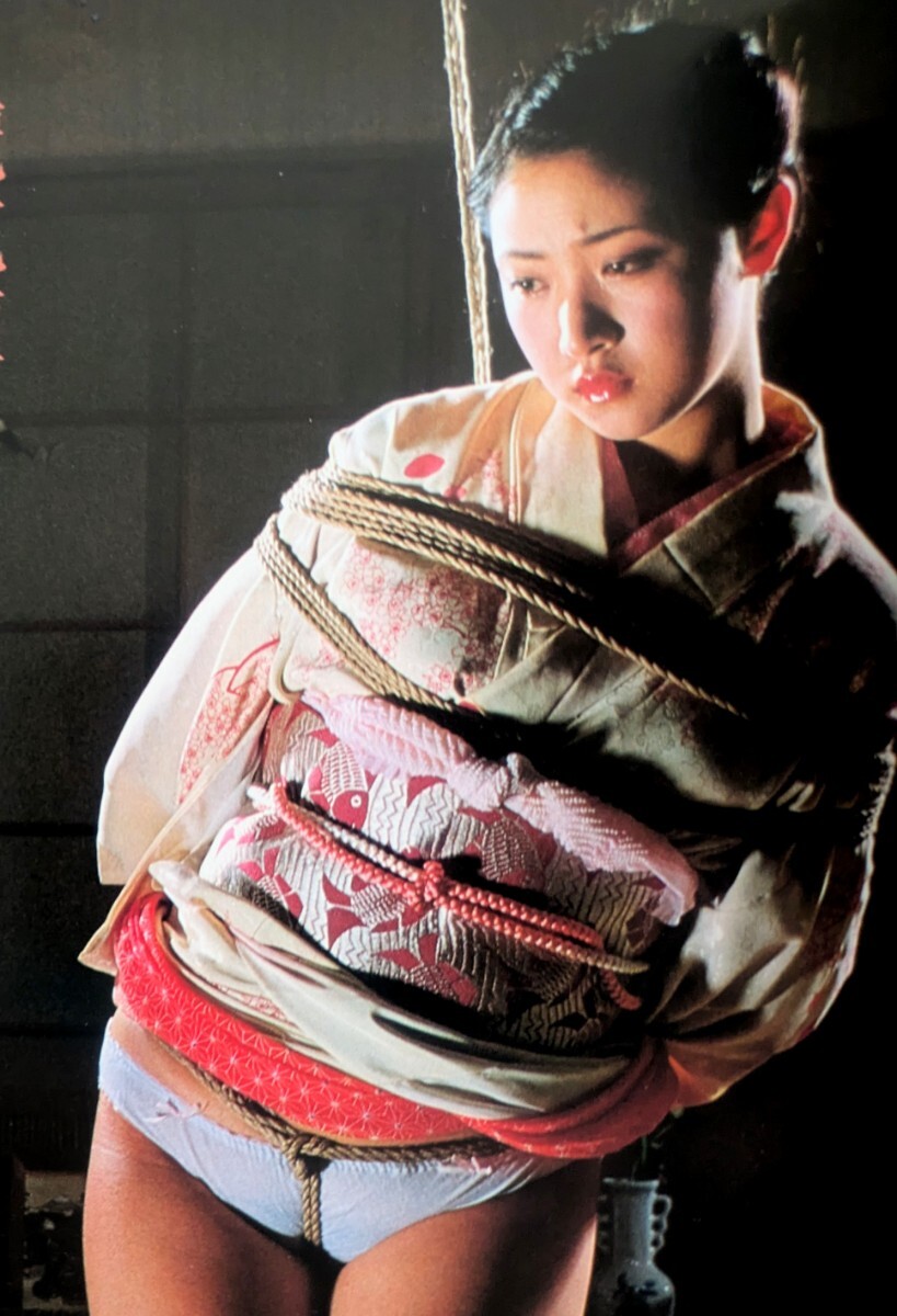 日本代購代標第一品牌【樂淘letao】－【オールカラー・レトロ】SM秘小説7月増刊 恋縄美女探求 昭和60年(1985年)発行 SM・緊縛 Z3V1 e3