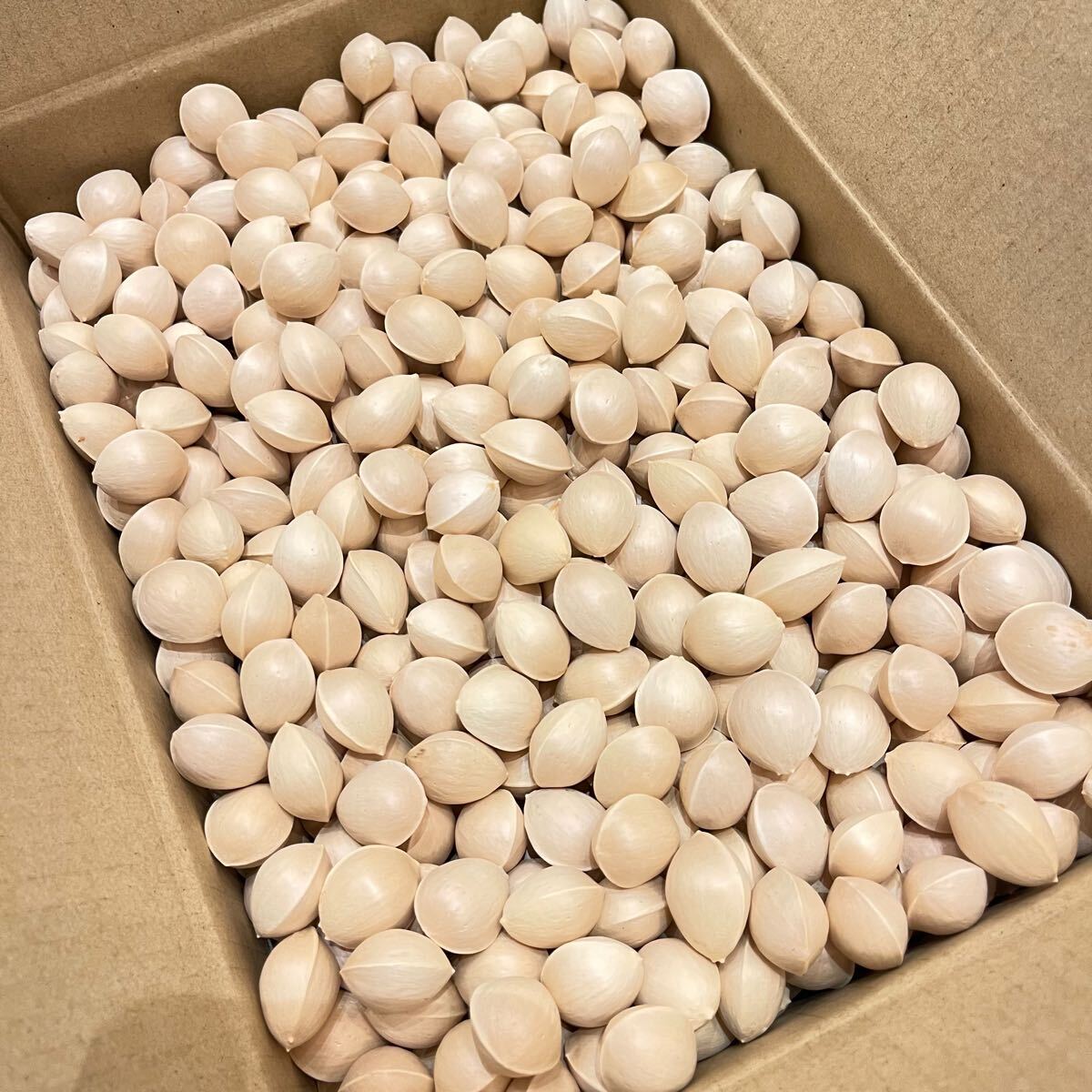 Yahoo!オークション - ギンナン2L【2kg】山形