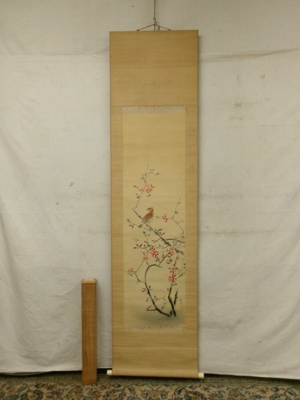 Yahoo!オークション - E0011 多田瓊林 木瓜花図 肉筆絹本 掛軸 軸箱