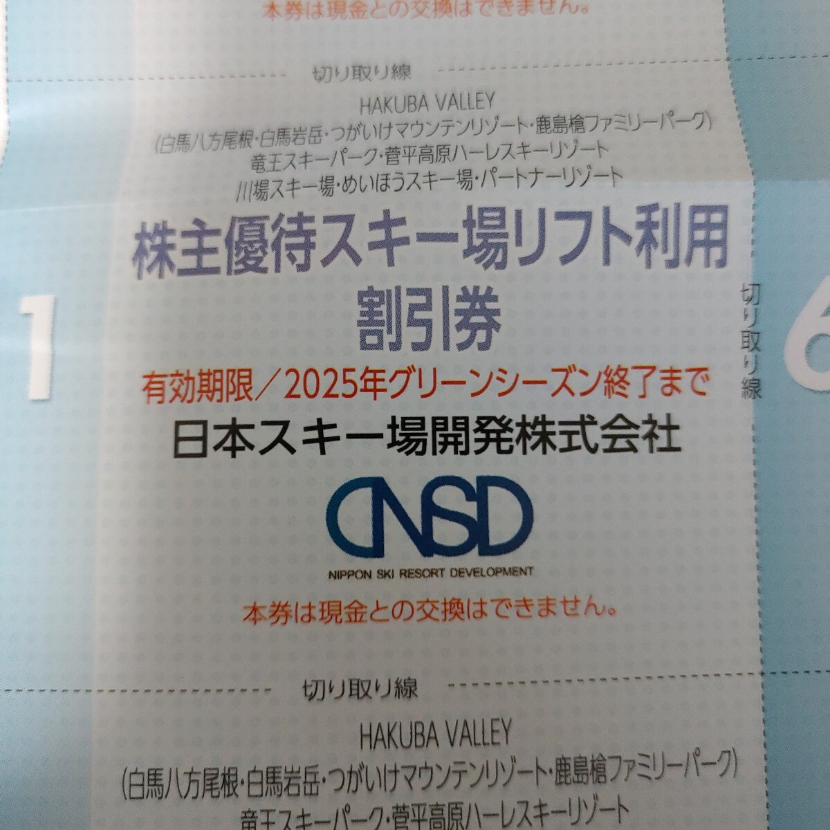 Yahoo!オークション - 2025年10月末まで NSD 日本スキー場開発 1枚 株...