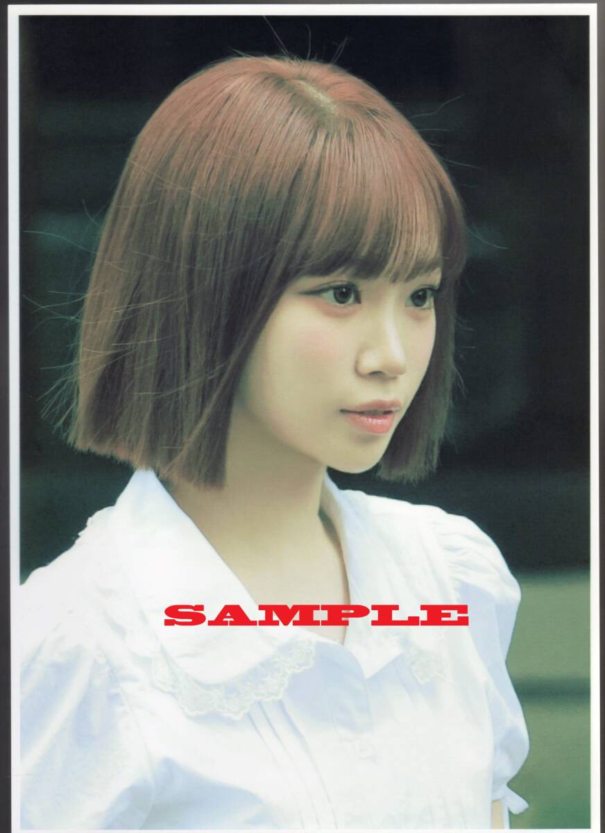 Yahoo!オークション - ルセラフィム／K2／101／大きな写真A4サイズ／LE...