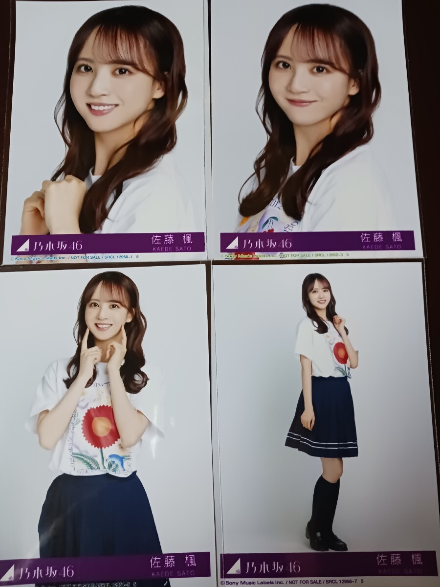 Yahoo!オークション - 乃木坂46 36thシングル チートデイ/初回盤封入...