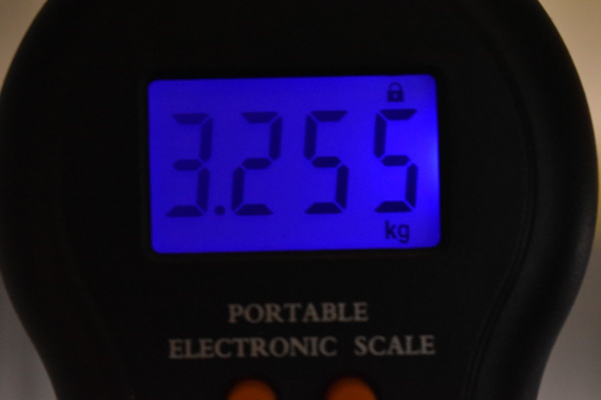 Yahoo!オークション - FERNANDES FV-85MS エレキギター フェルナンデス...