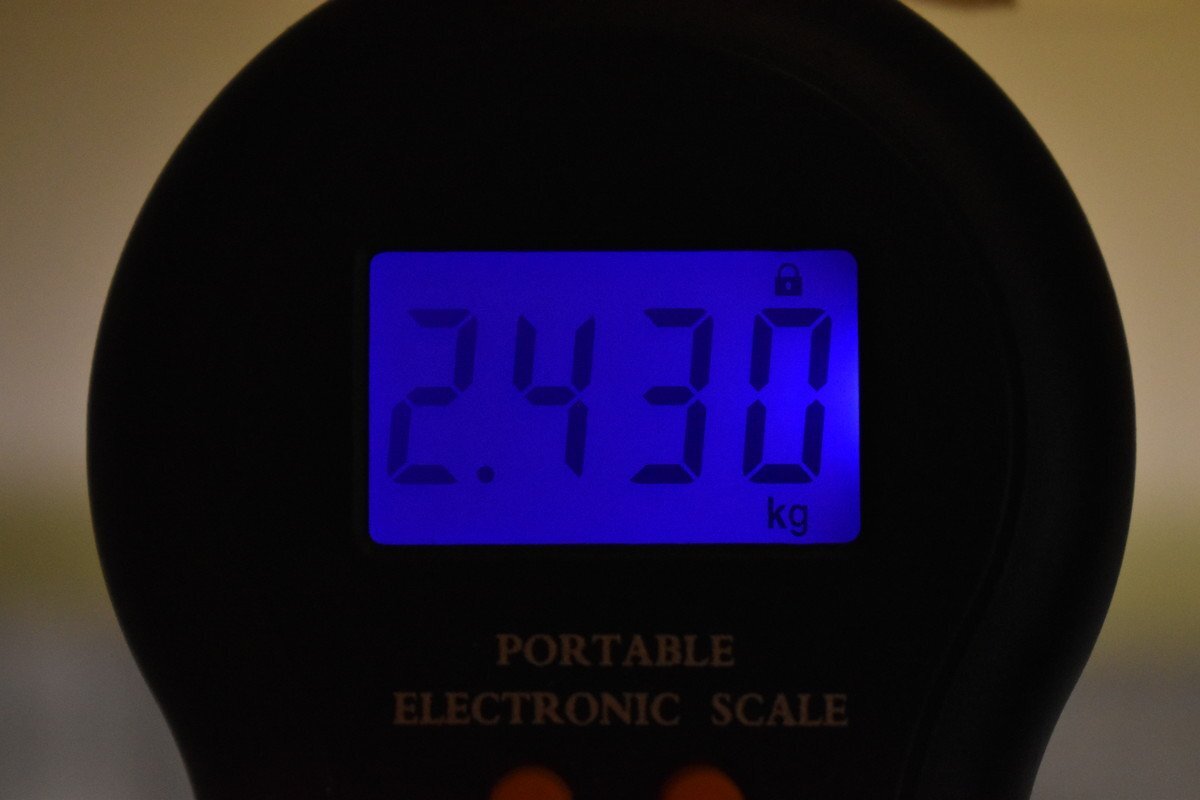 Yahoo!オークション - 【G】Ovation Celebrity CE44-RBB エレアコ/アコ...