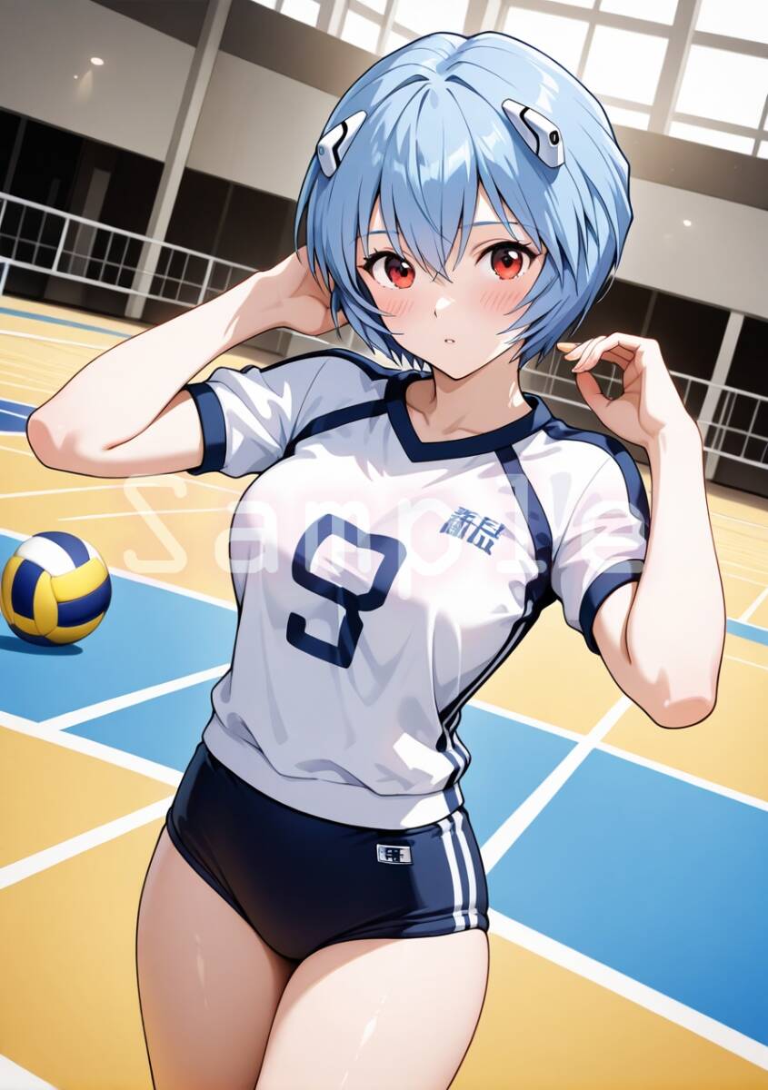 Yahoo!オークション - A114 綾波レイ 新世紀エヴァンゲリオン バレー A...