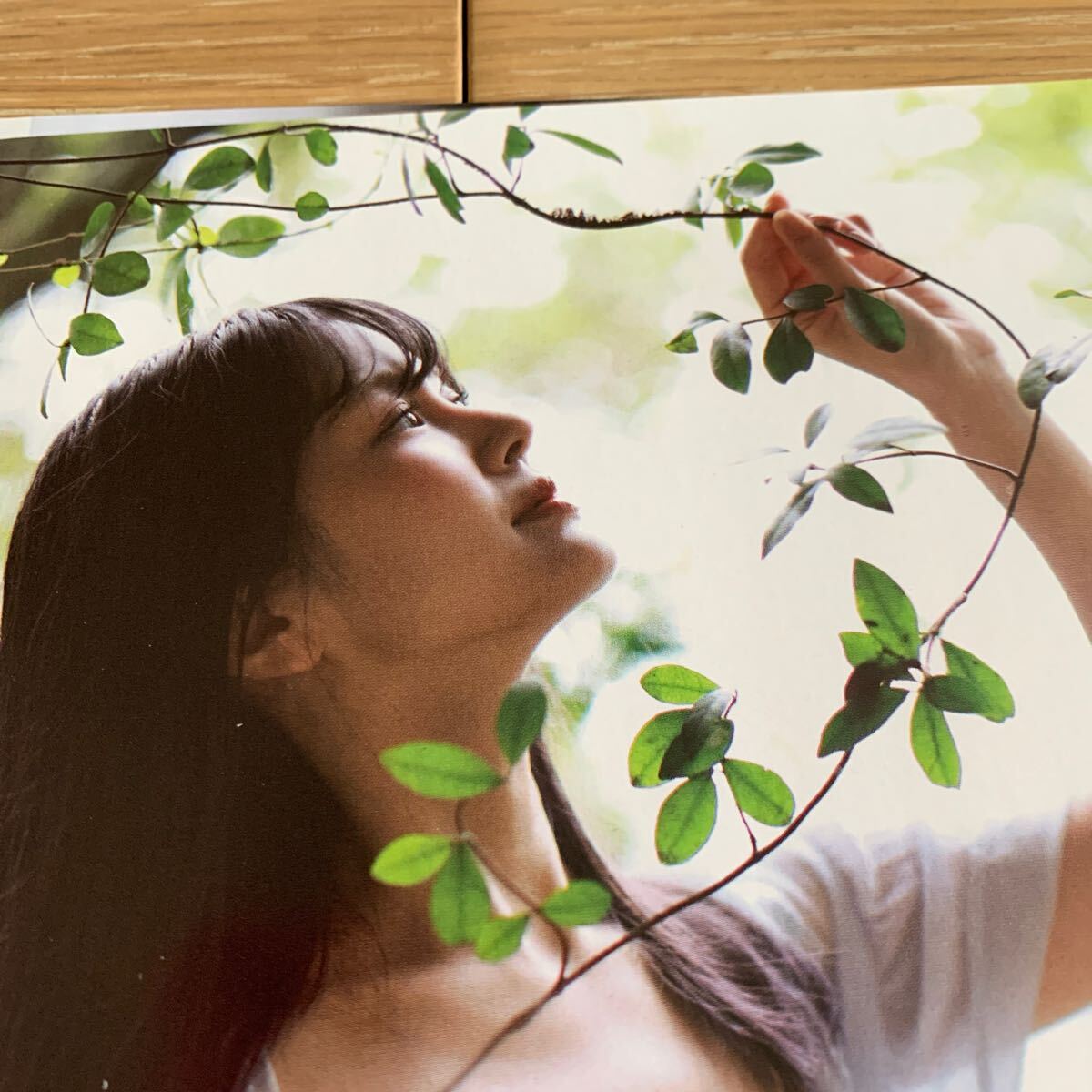 Yahoo!オークション - P28-3 安齋らら つばさ舞 藤かんな 女神ジュン ...