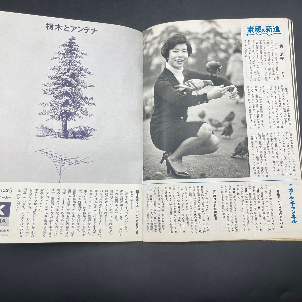 Yahoo!オークション - 『グラフNHK’69.3』銀河ドラマ 和田勉 佐久間良...