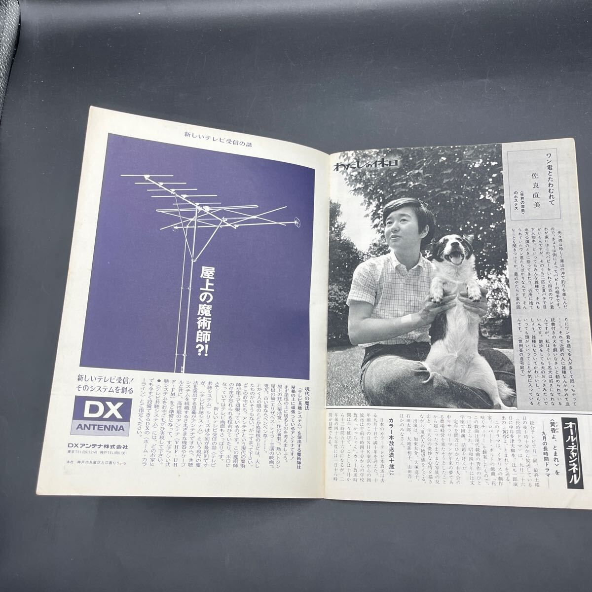 Yahoo!オークション - 『グラフNHK’70.9』男は度胸 佐良直美 浜畑賢吉 ...