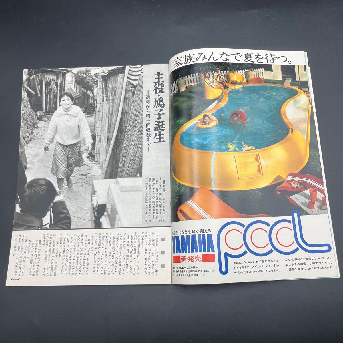 グラフNHK’74.4 鳩子の海 藤田美保子 高沢順子 加藤芳郎 伴淳三郎(テレビ)｜売買されたオークション情報、yahooの商品情報をアーカイブ公開 - オークファン（aucfan.com）