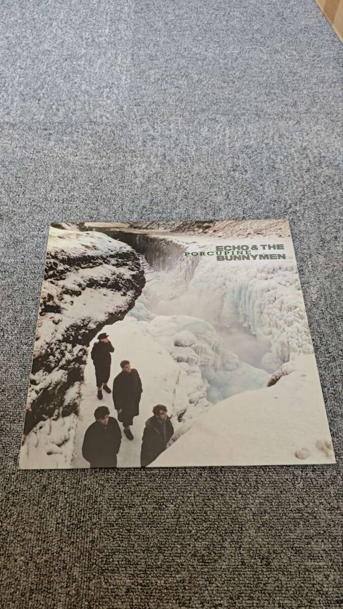 Yahoo!オークション - LP/Echo & The Bunnymen Porcupine/ P-11288/NL1...