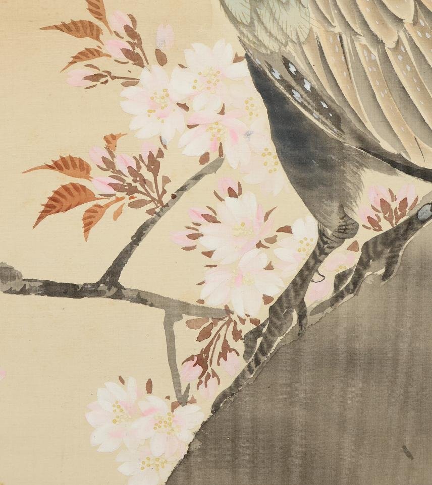Yahoo!オークション - 【真作】 近藤樵仙 桜花野雉図 共箱 大正6年（19...