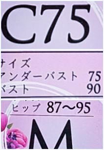 Yahoo!オークション - C75M ブラショーツセット fleurパステルグラデー...