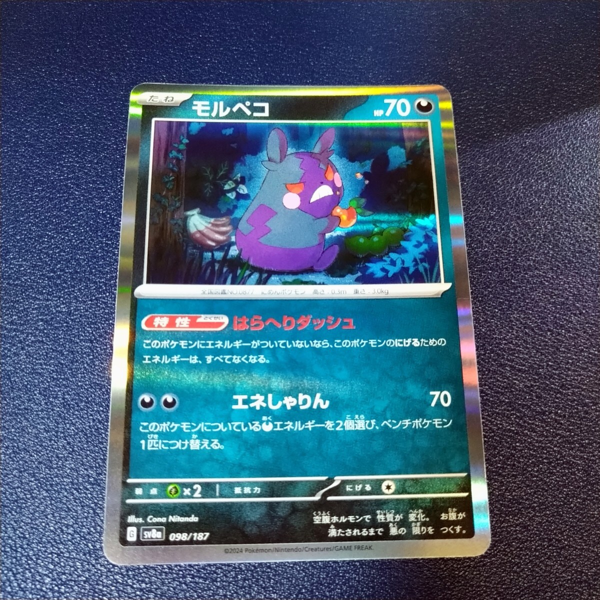 Yahoo!オークション - モルペコ ノーマル R 098/187 sv8a テラスタルフ...