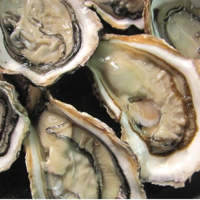 Yahoo!オークション - 2箱 生食用「特大 牡蠣3L-2kg」=トップシーズン...