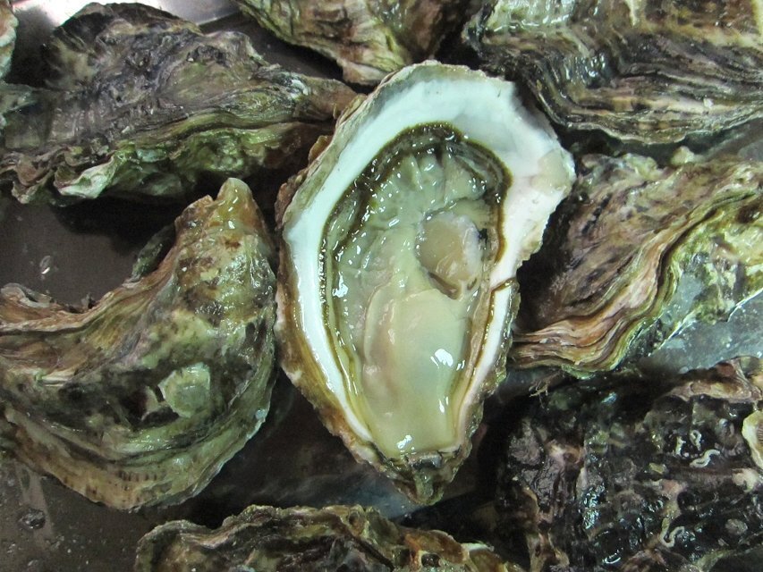 Yahoo!オークション - 2箱 生食用「特大 牡蠣3L-2kg」=トップシーズン...