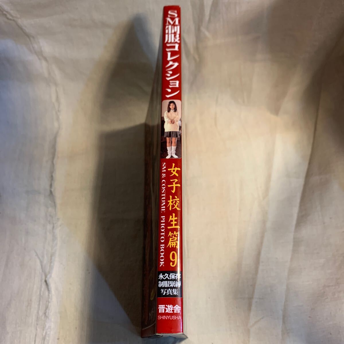 日本代購代標第一品牌【樂淘letao】－SM制服コレクション 女子高生篇9★永久保存版オールカラー160P★晋遊舎MOOK★平成11年2月20日発行★Diva★ディーバ★A5★成年向け