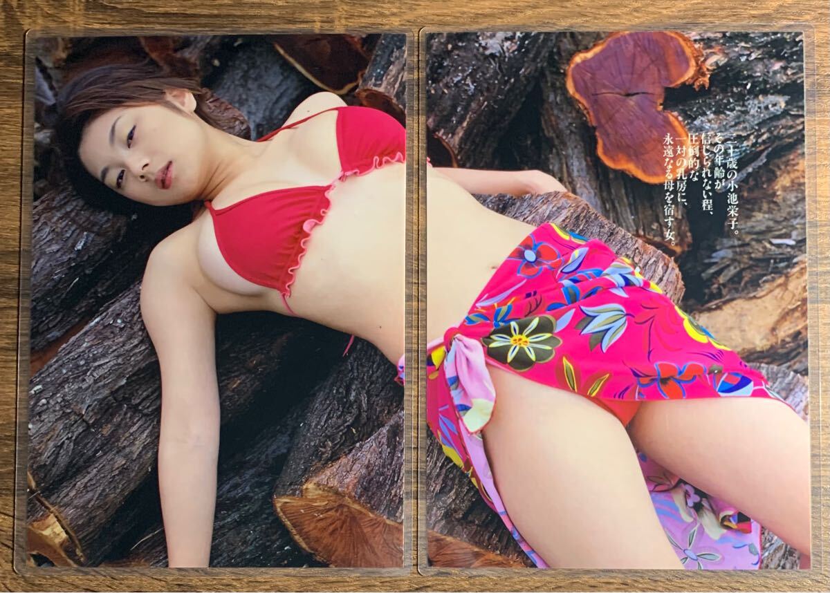 厚手ラミネート加工 小池栄子 水着 雑誌切り抜き 8ページ サイズB5 週プレ 2001.02.20 アイドル 女優 芸能人 グラビア -i1(タレント)｜売買されたオークション情報 ...
