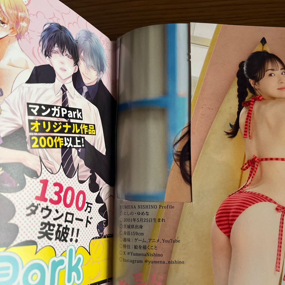 Yahoo!オークション - ヤングアニマル 2025No.2