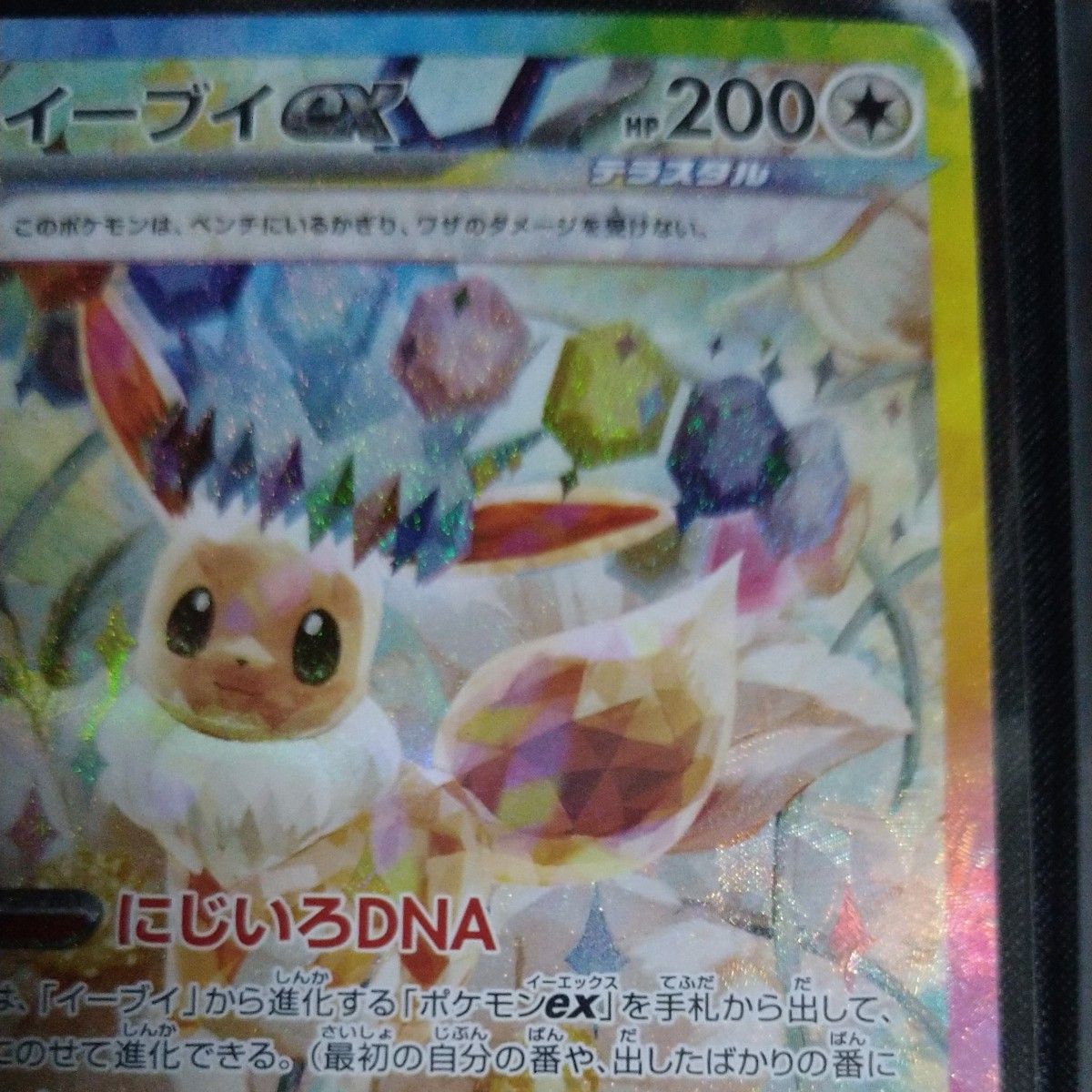 ポケモンカード テラスタルフェスex サンダースex SAR イーブイ ポケモンカード テラスタルフェスex サンダースex SAR イーブイ