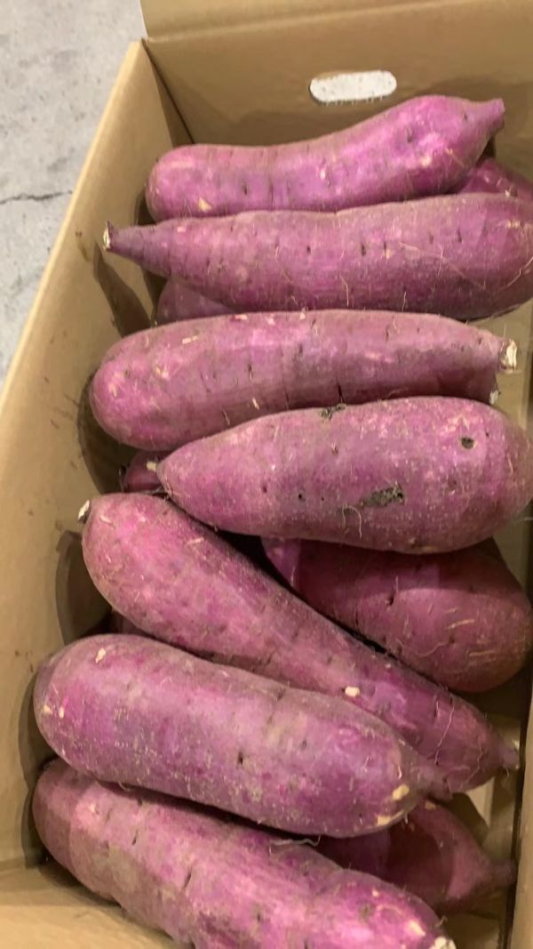 Yahoo!オークション - 紅はるか 約5Kg (S~Lサイズ) 普通便