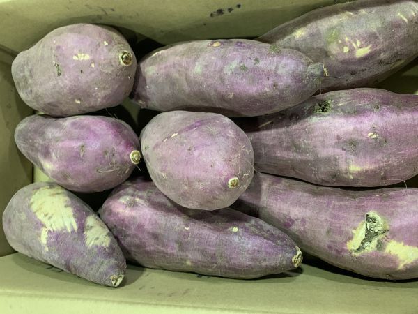 Yahoo!オークション - 紅はるか 約10Kg (2L～4Lサイズ) 普通便