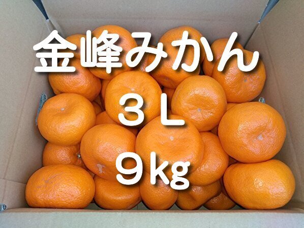 Yahoo!オークション - 『金峯』 9kg 3Lサイズ みかん 生産者直送 熊...
