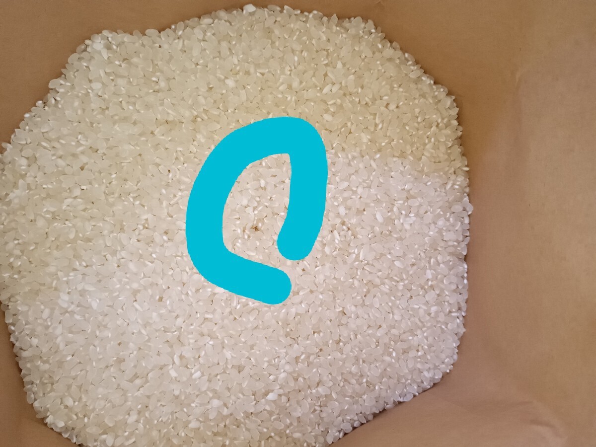 Yahoo!オークション - R6年産 白米 10kg ひゃくまん穀 大粒品種 噛み...