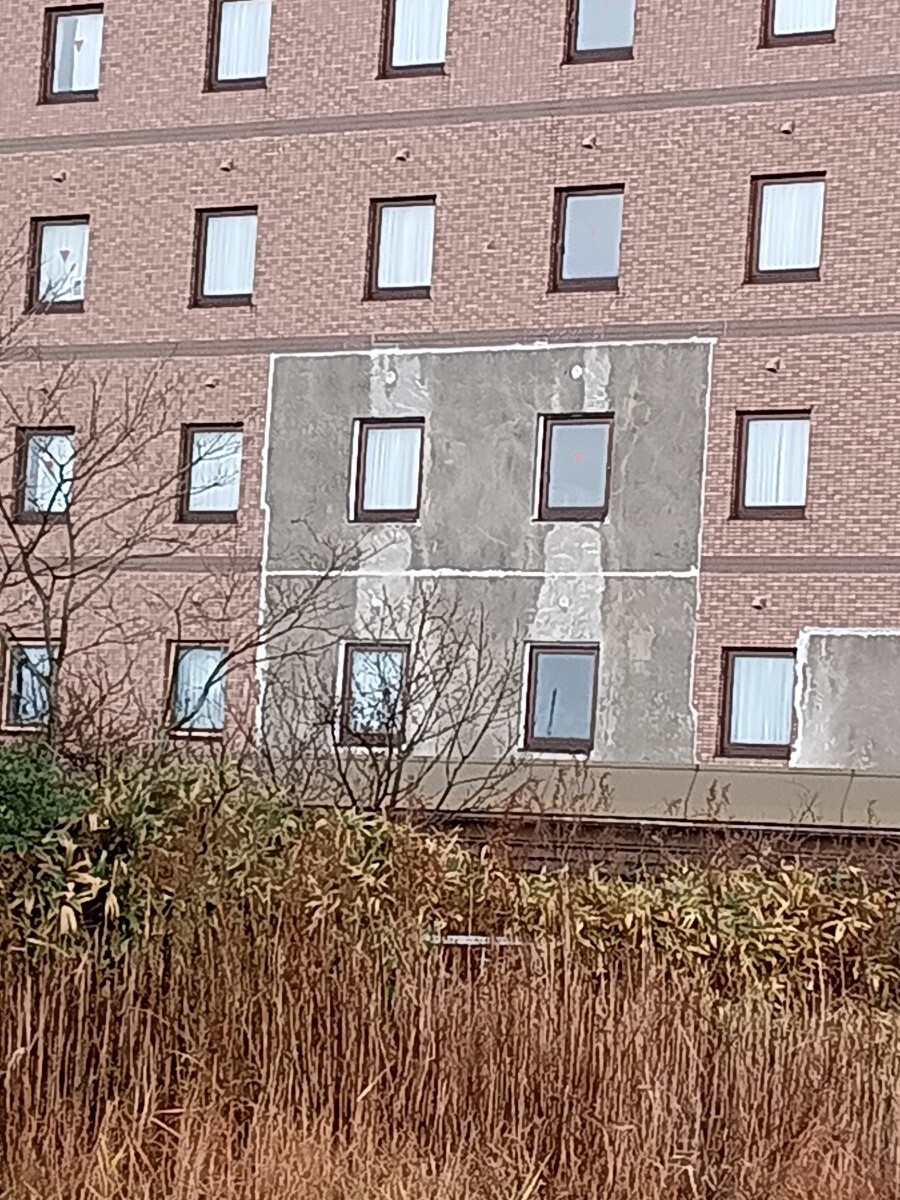 Yahoo!オークション - R6年産 白米 10kg ひゃくまん穀 大粒品種 噛み...