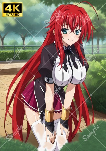 Yahoo!オークション - 【ハイスクール DxD リアス・グレモリー 風】ア...