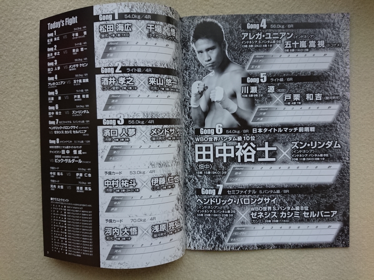 日本代購代標第一品牌【樂淘letao】-☆ ボクシング パンフレット Wbo世界ミニマム級タイトルマッチ2015 12 31 田中恒成 Vs