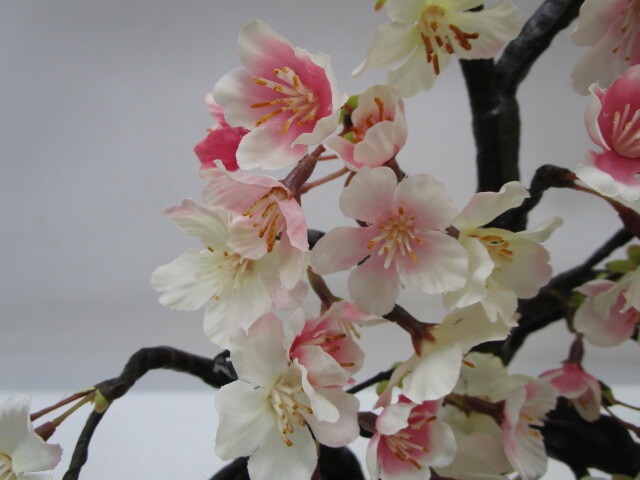 平2603 雛道具 古代 手造り 御飾り花 見返りの桜 18号 飾花 雛人形 ひな祭り 雛飾り ひな飾り お雛様 おひな様 12405151(ひな人形)｜売買されたオークション情報、yahoo ...