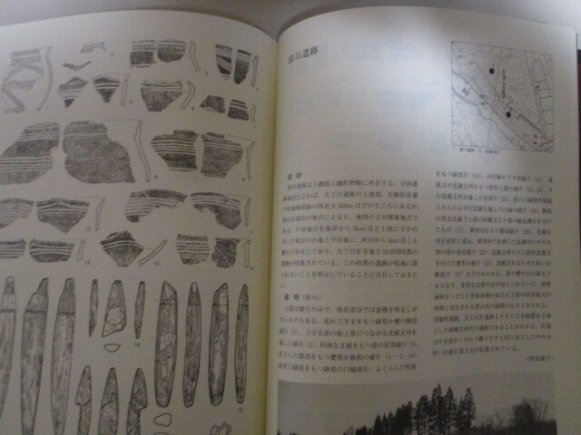 Yahoo!オークション - NB043/ 落合計策縄文時代遺物コレクション 国立...