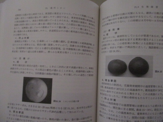 Yahoo!オークション - NC019/ 最新果樹園芸技術ハンドブック 吉田義雄 ...