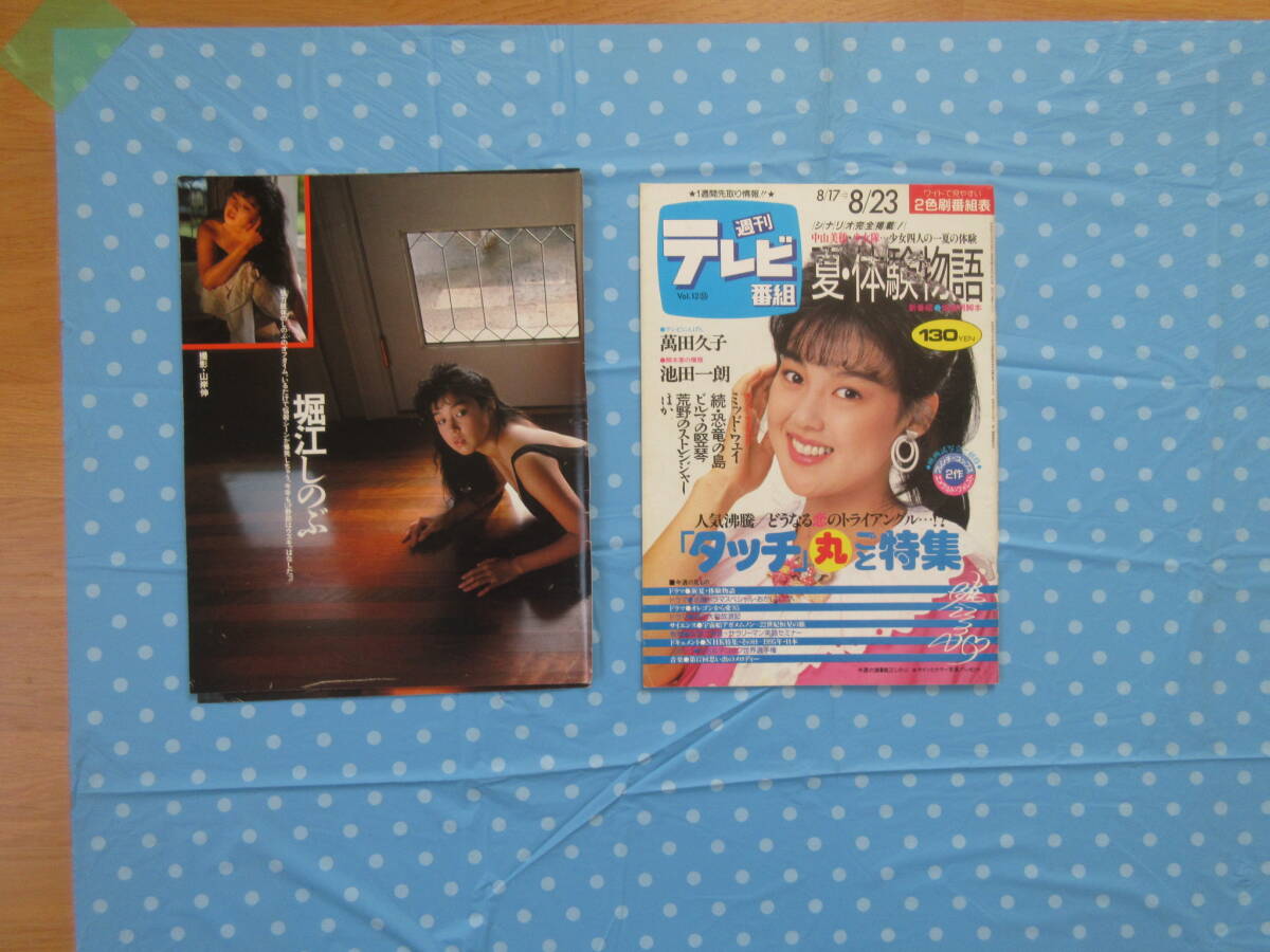 Yahoo!オークション - 6 堀江しのぶさんの雑誌切り抜き A4サイズ そ...