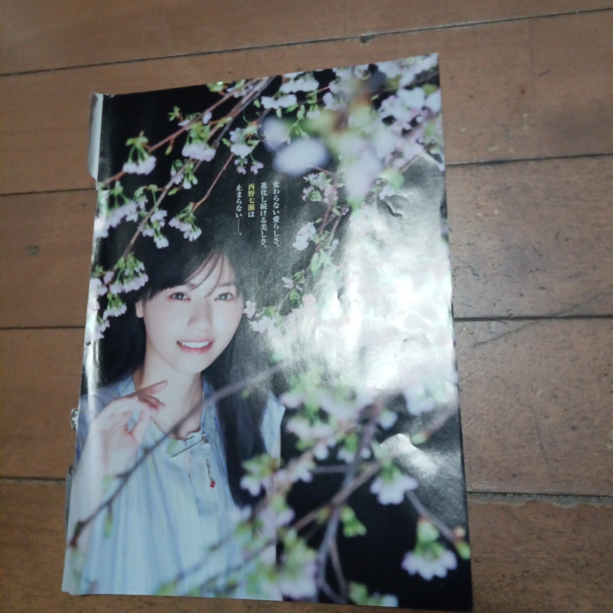 Yahoo!オークション - 【雑誌切り抜き】 西野七瀬 28P