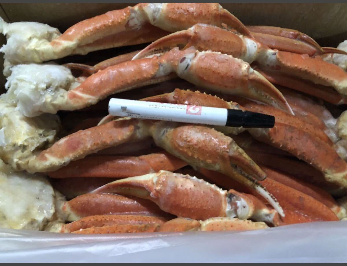 Yahoo!オークション - ボイル本ズワイガニ 5L（1肩/約350～400g)5kg【...