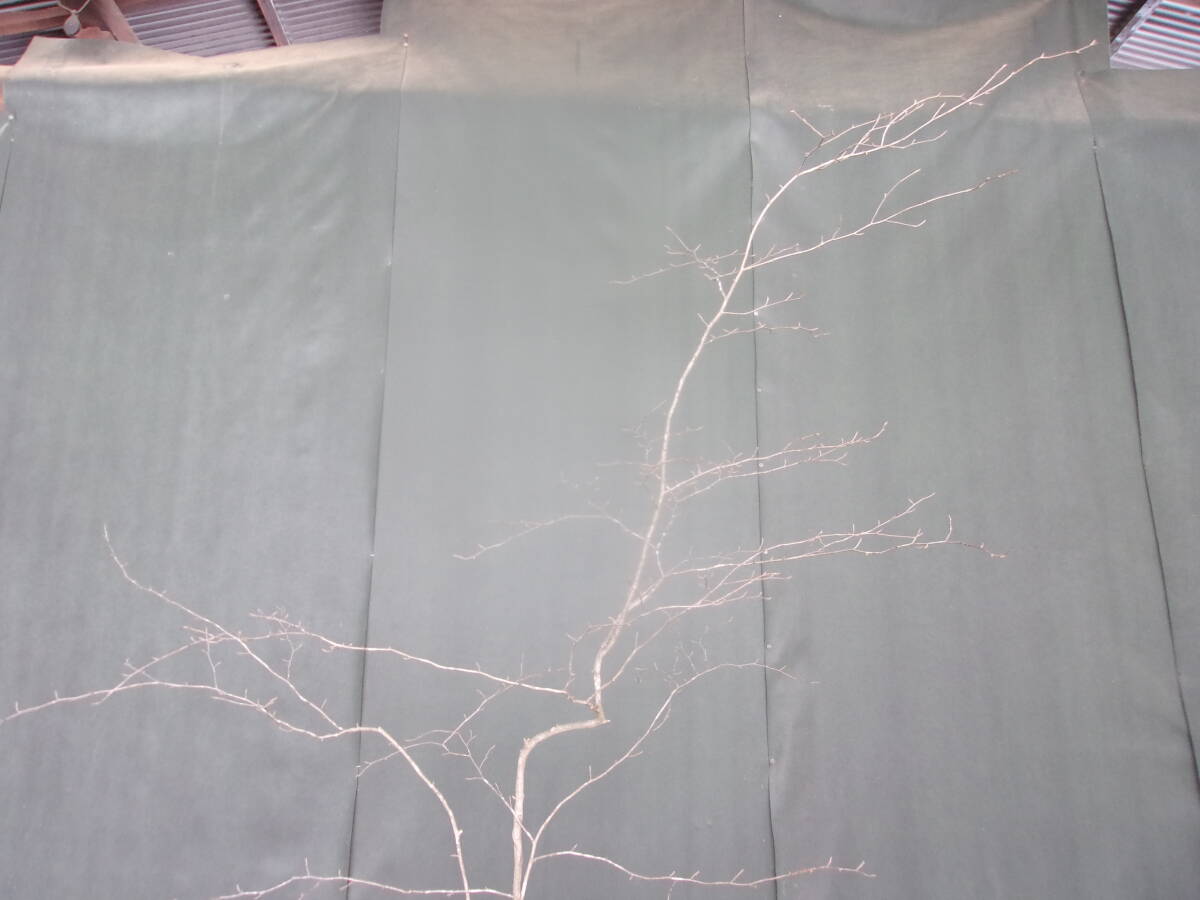 Yahoo!オークション - カマツカ 山取 190