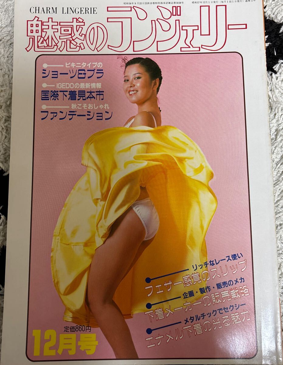 0216 魅惑のランジェリー 昭和57年12月 風かおる 田代千恵 小川恵(その他)｜売買されたオークション情報、yahooの商品情報をアーカイブ公開 - オークファン（aucfan.com）
