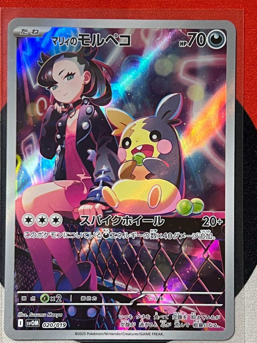 Yahoo!オークション - マリィのモルペコ AR仕様 svOM スターターセット...