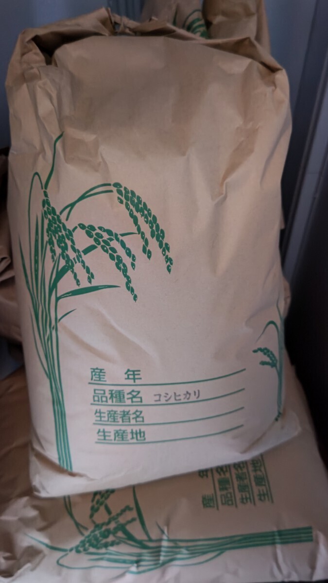 Yahoo!オークション - コシヒカリ 新米 10キロ