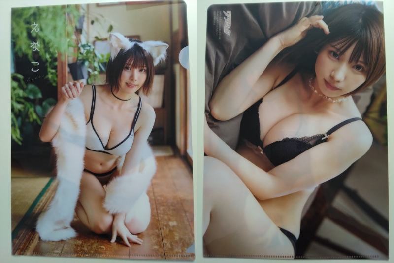 Yahoo!オークション - C014《クリアファイル》【えなこ】漫画アクショ...